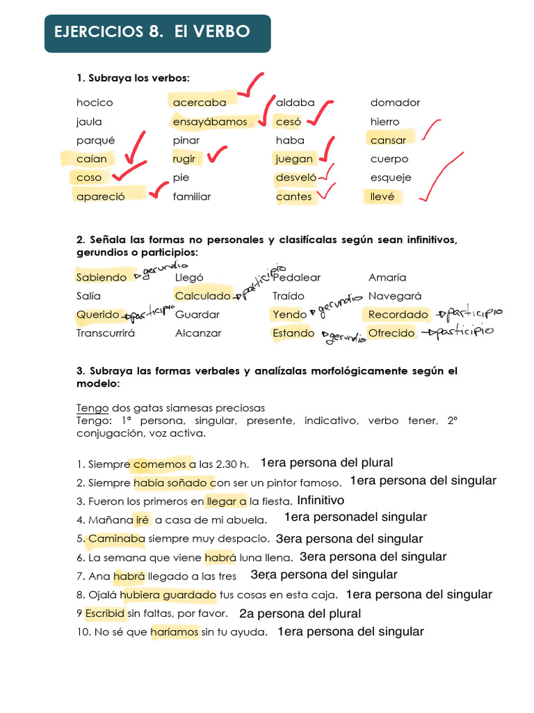 Ejercicios Clase 8 El Verbo | PDF | Verbo | Conjugación gramatical