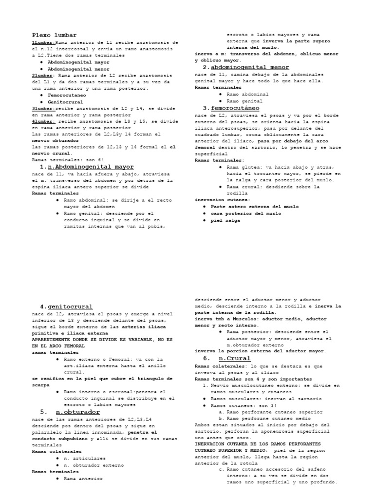 Nervioso Mminf | PDF | Neuroanatomía | Anatomía del miembro inferior