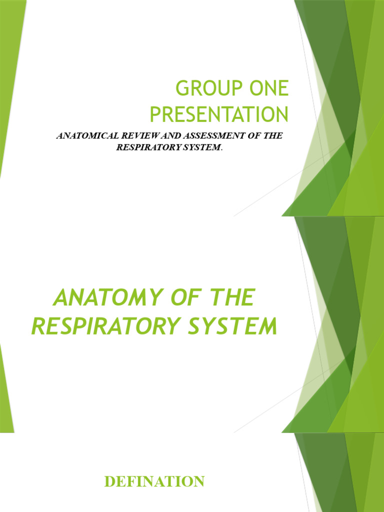 Anatomy of The Respiratory System | PDF | Respiratory Tract | Lung