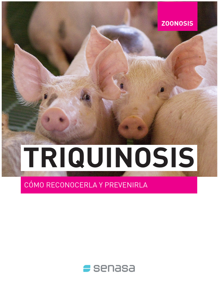 triquinosis | PDF | Cerdo | Carne