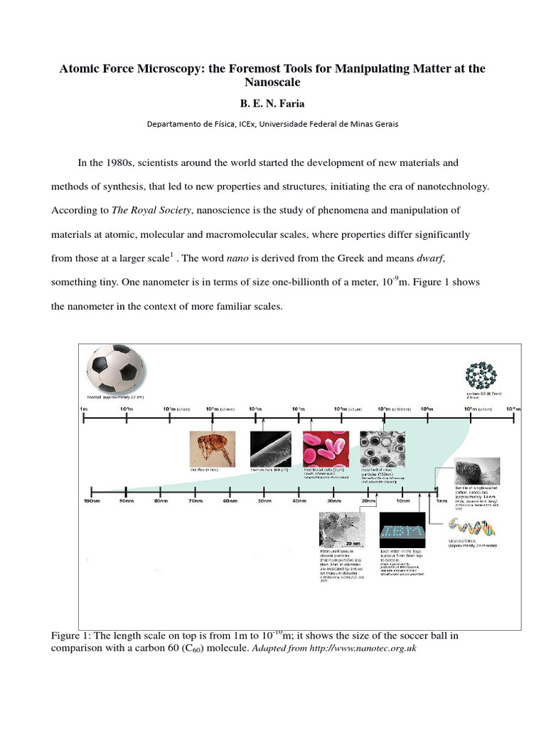 B Faria Atomic Force Micros | PDF | Atomic Force Microscopy | Nanotechnology