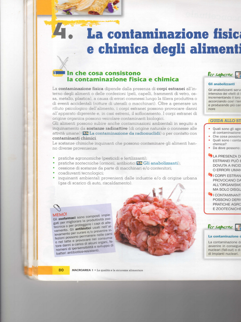 Dispense Di Alimentazione | PDF