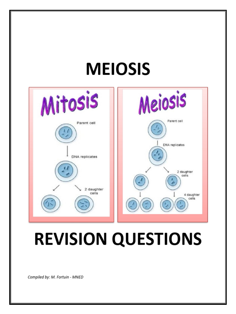 Meiosis Revision Questions and Terms | PDF
