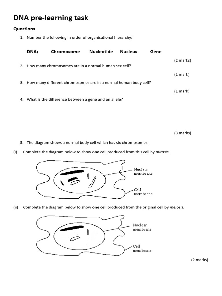 DNA Structure and Genetic Concepts Quiz | PDF | Dna | Cell (Biology)