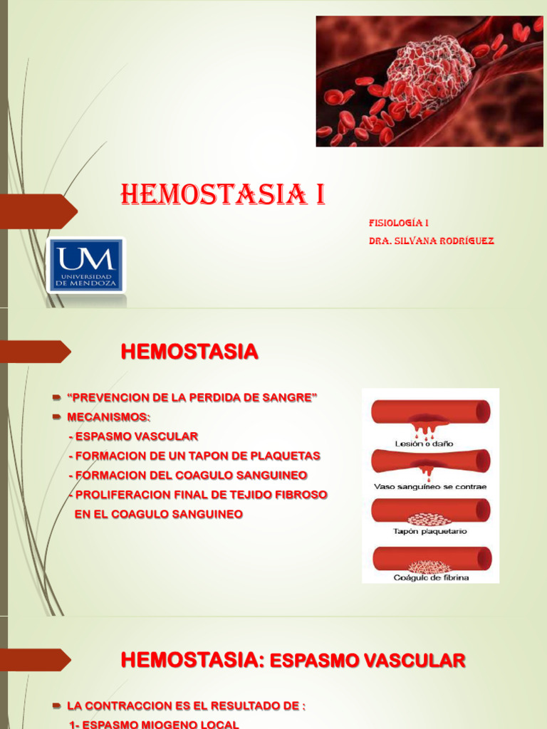 HEMOSTASIA I Fisiologia | PDF | Hemostasia | Plaqueta