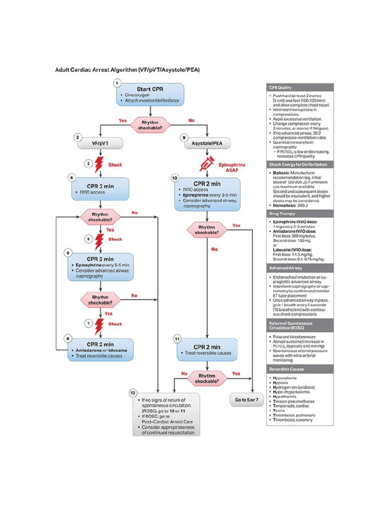 ACLS | PDF