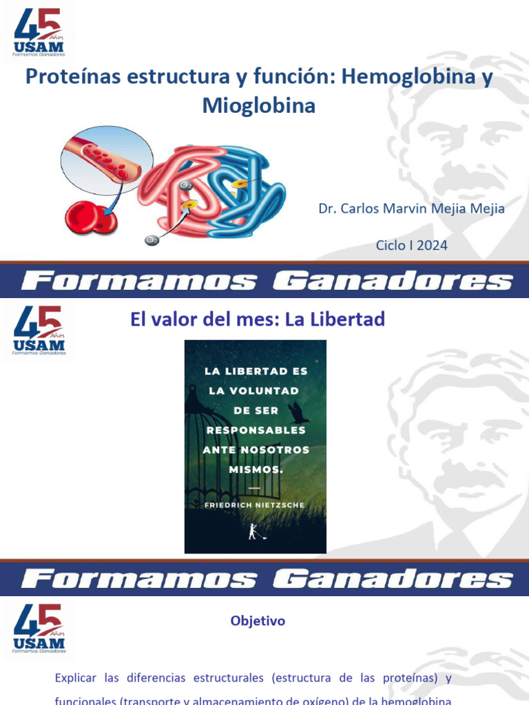Hemoglobina y Mioglobina Ciclo I 2024 | PDF | Hemoglobina | Biología Celular