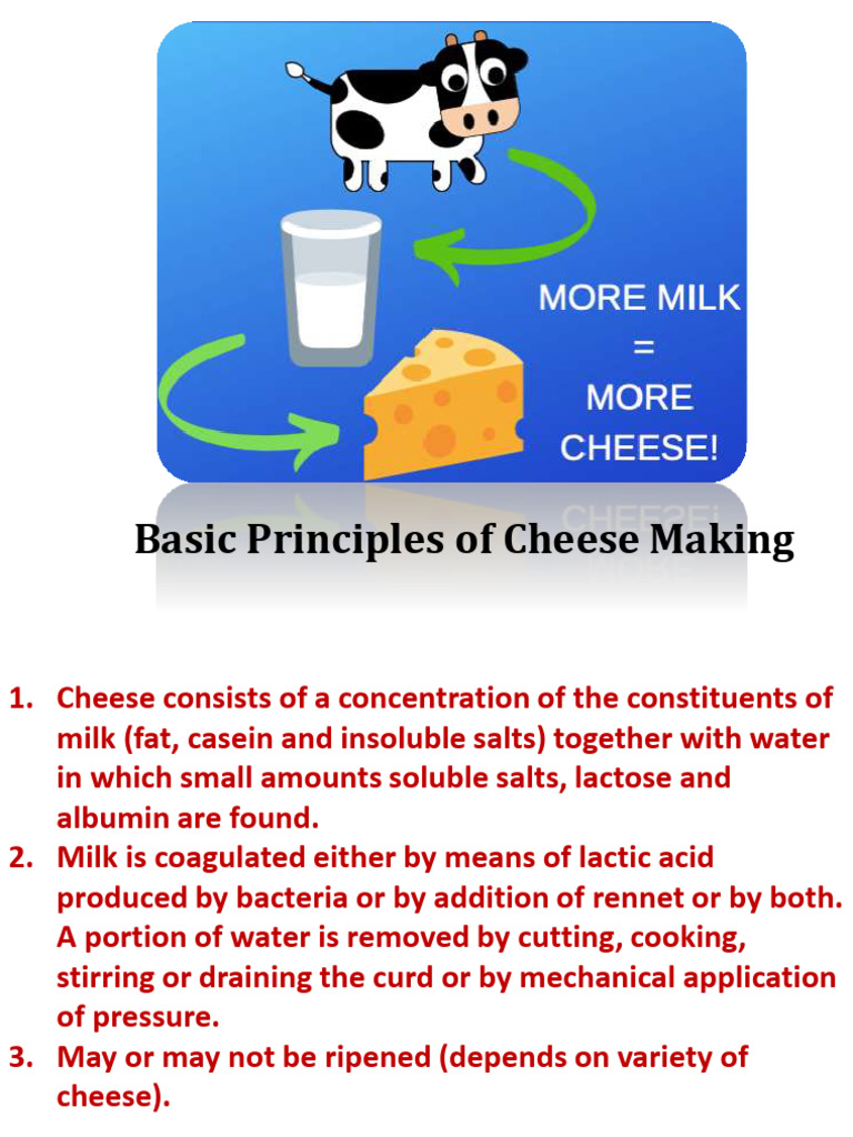 Cheese Making: Principles and Process | PDF | Cheese | Cheesemaking