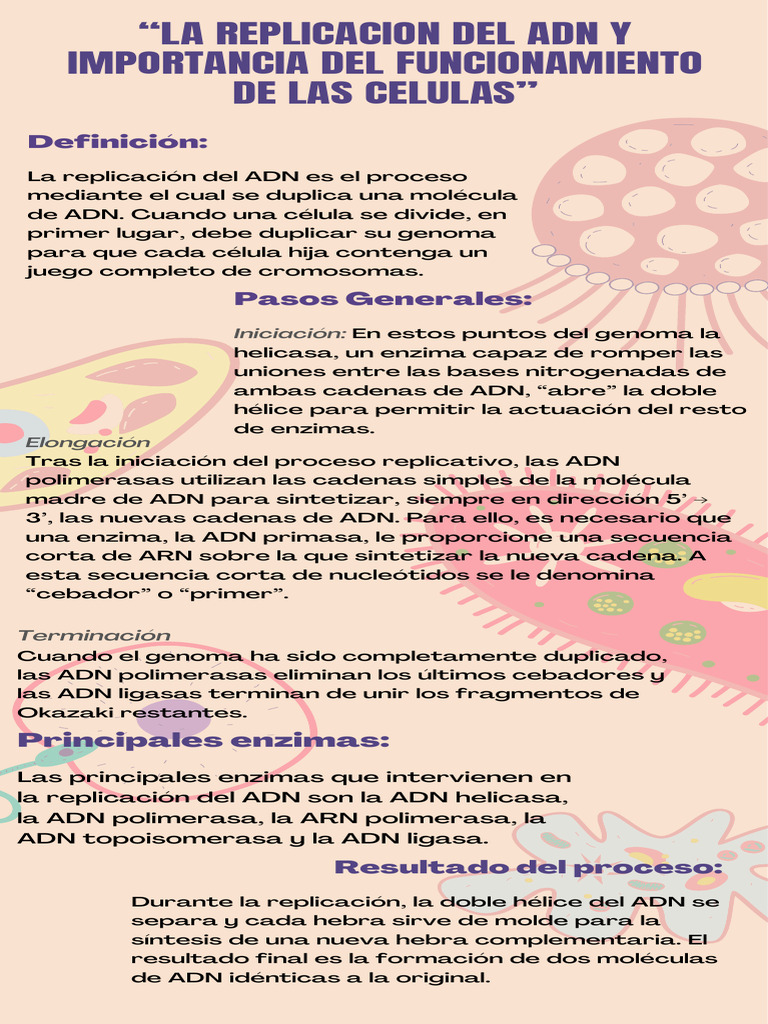 Infografia Biologia Celular | PDF | Adn | Replicación De Adn