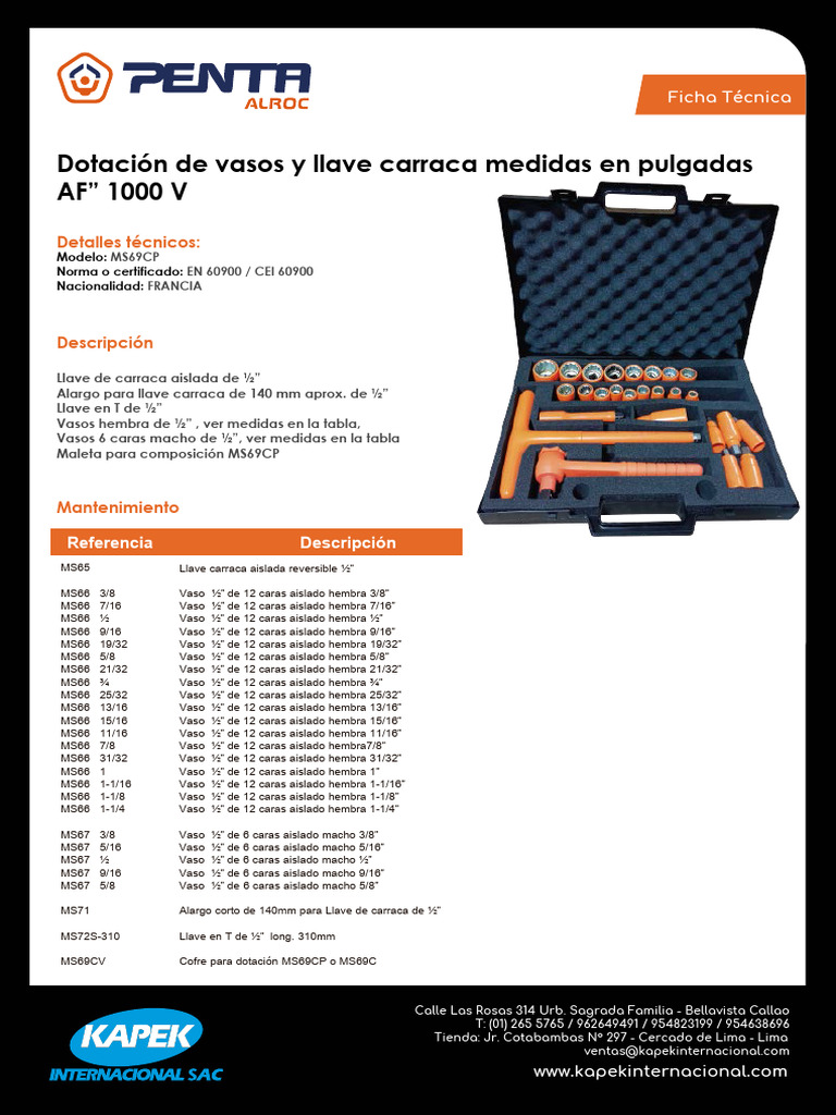 Penta Alroc Ms69cp | PDF | Género | Estudios de género
