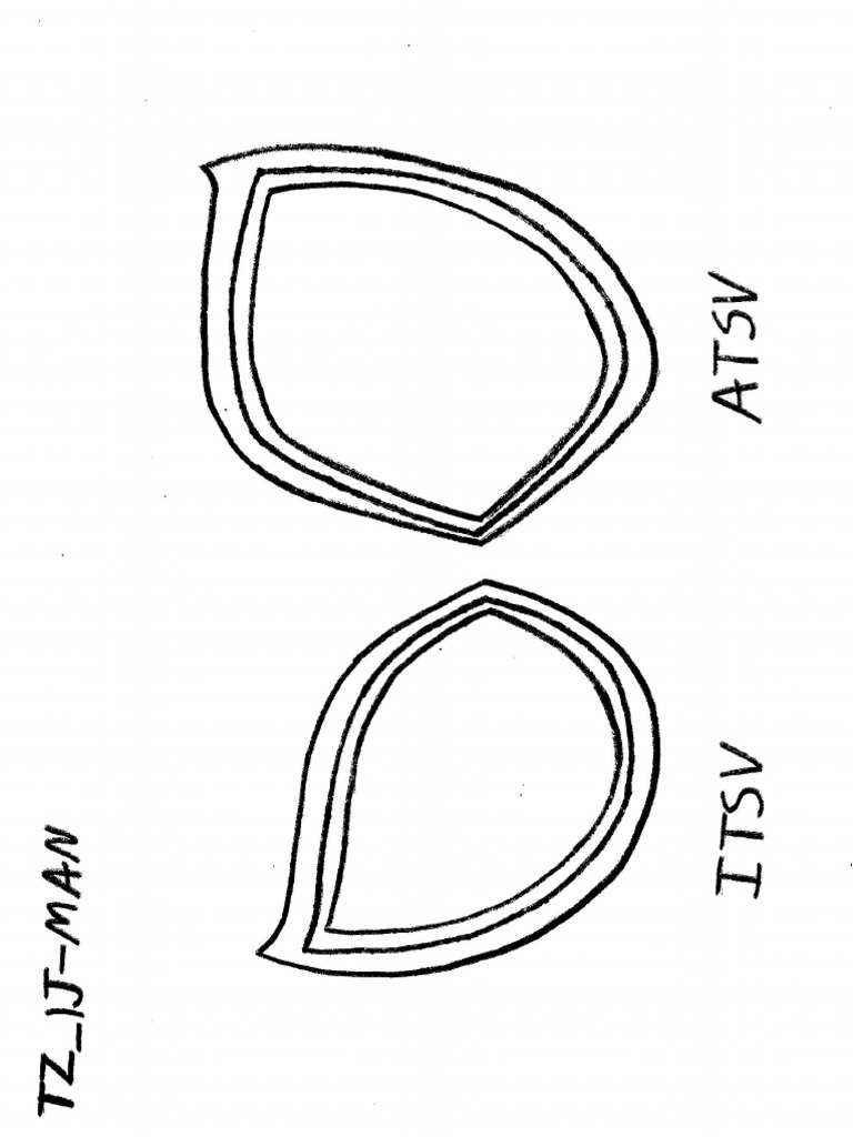 Lentes Miles Morales Itsv Atsv | PDF