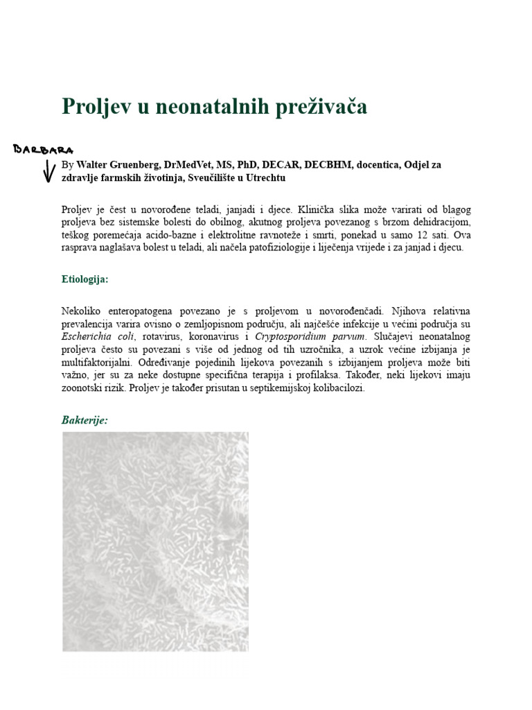 Diarrhea in Neonatal Ruminants - HR - SYSTRAN - Generic | PDF