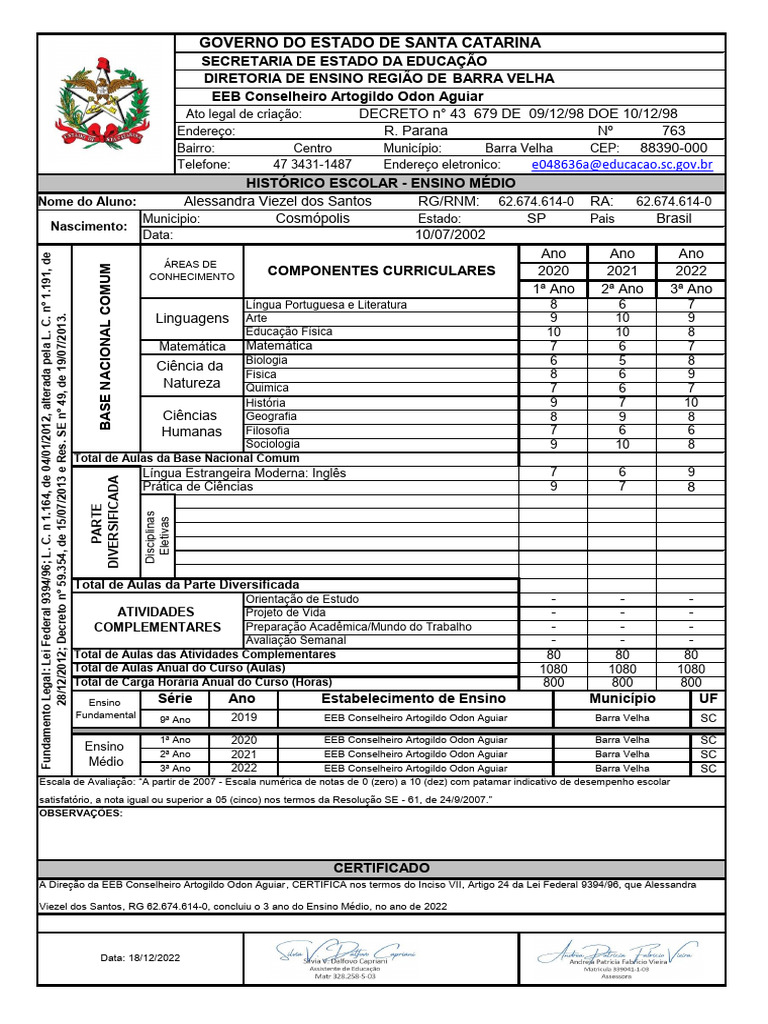 Alessandra Viezel Dos Santos | PDF