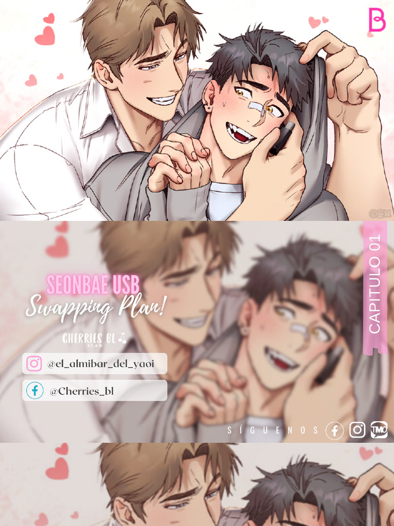 01-04 Fin Seonbae USB Swapping Plan! | PDF