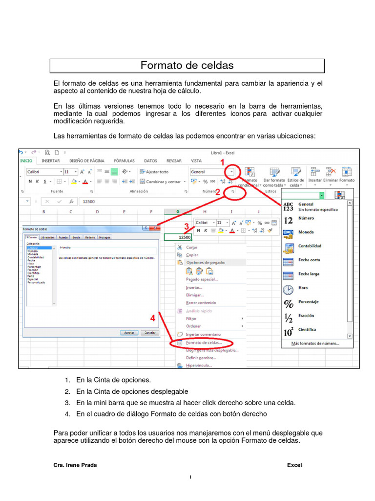 Formato de Celdas en Excel: Guía Completa | PDF | Microsoft Excel ...