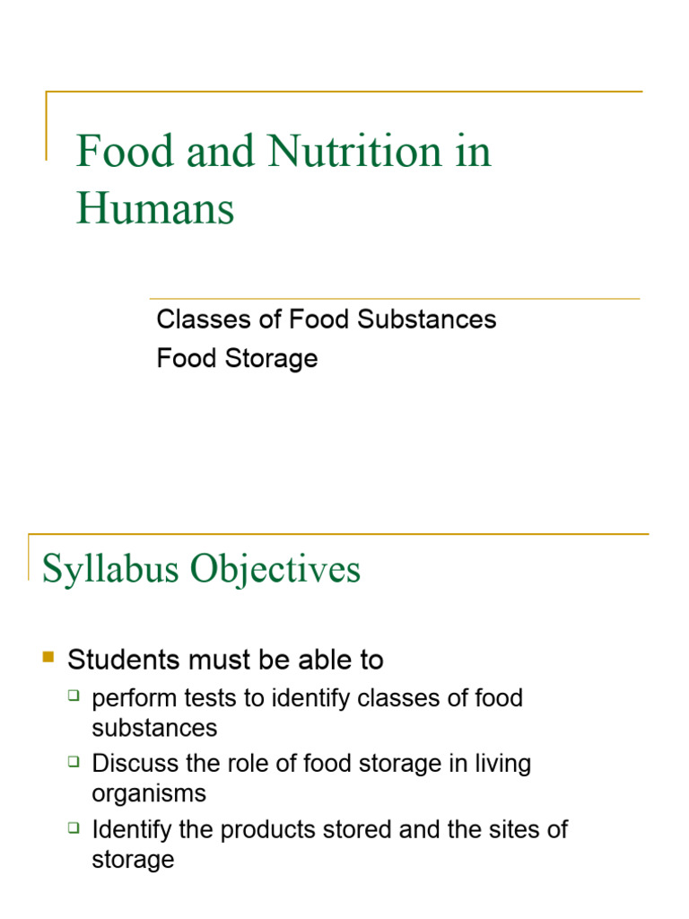 Food and Nutrition in Humans 2 | PDF | Foods | Seed