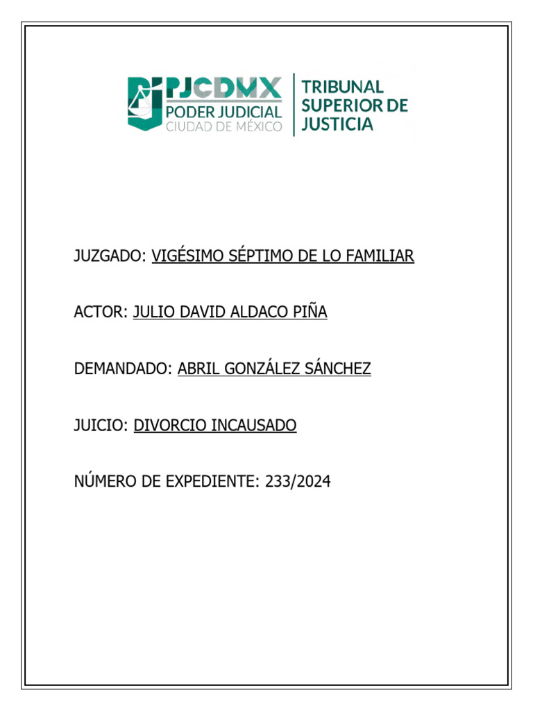 Formato de Caratula de Expediente | PDF