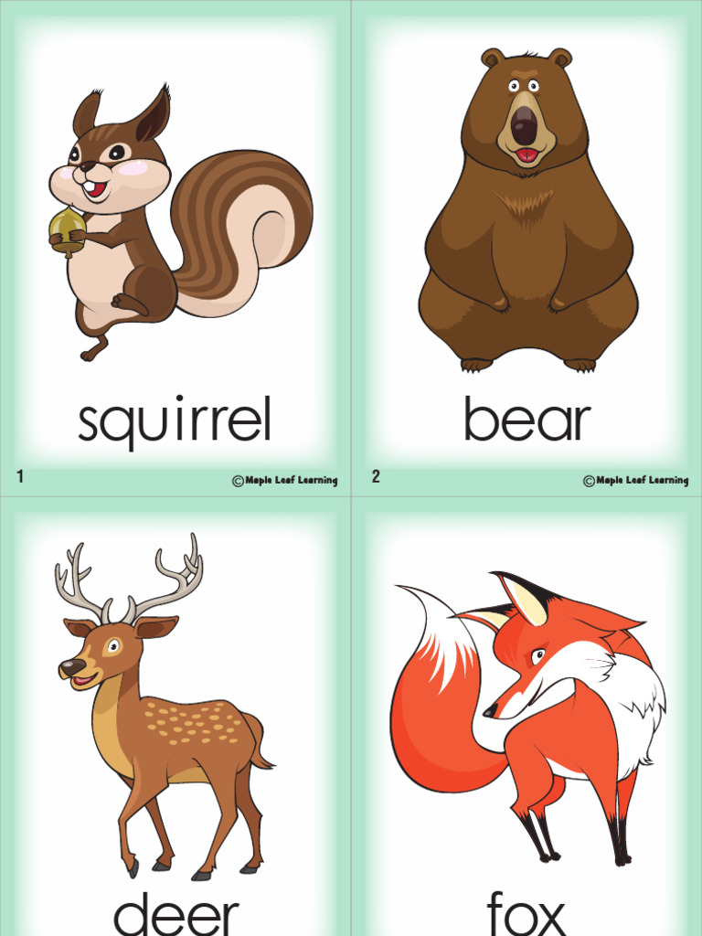 Forest Dance Flashcards | PDF