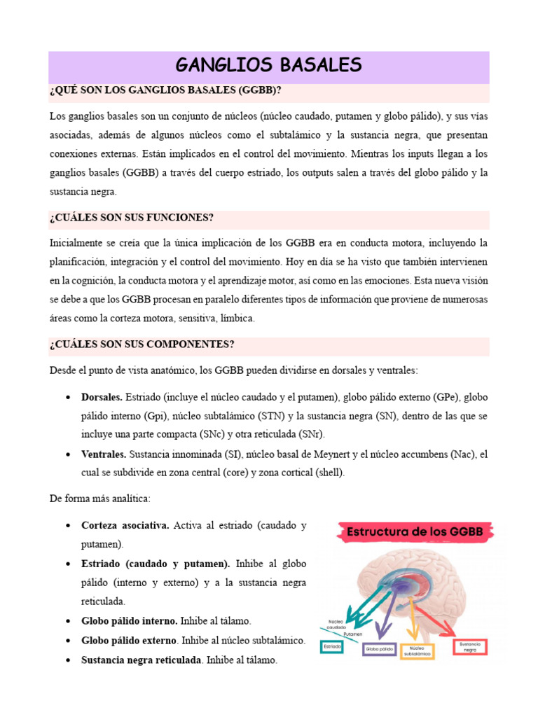 Ganglios Basales - 121555 | PDF | Cerebelo | Ganglios basales