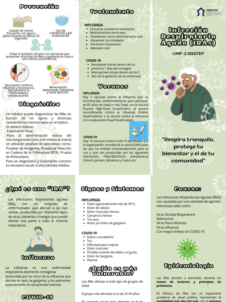 Tríptico IRAs | PDF | Influenza | Infección
