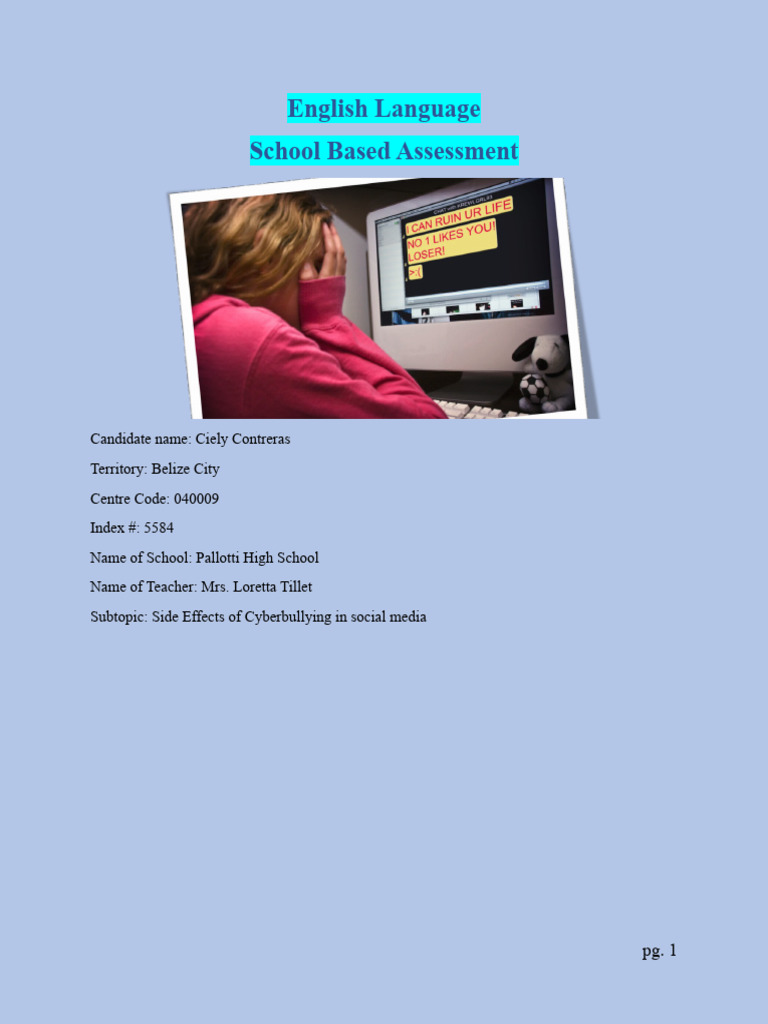 English Language SBA | PDF | Cyberbullying | Social Media