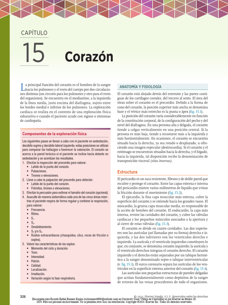 Corazón | PDF | Corazón | Electrocardiografia