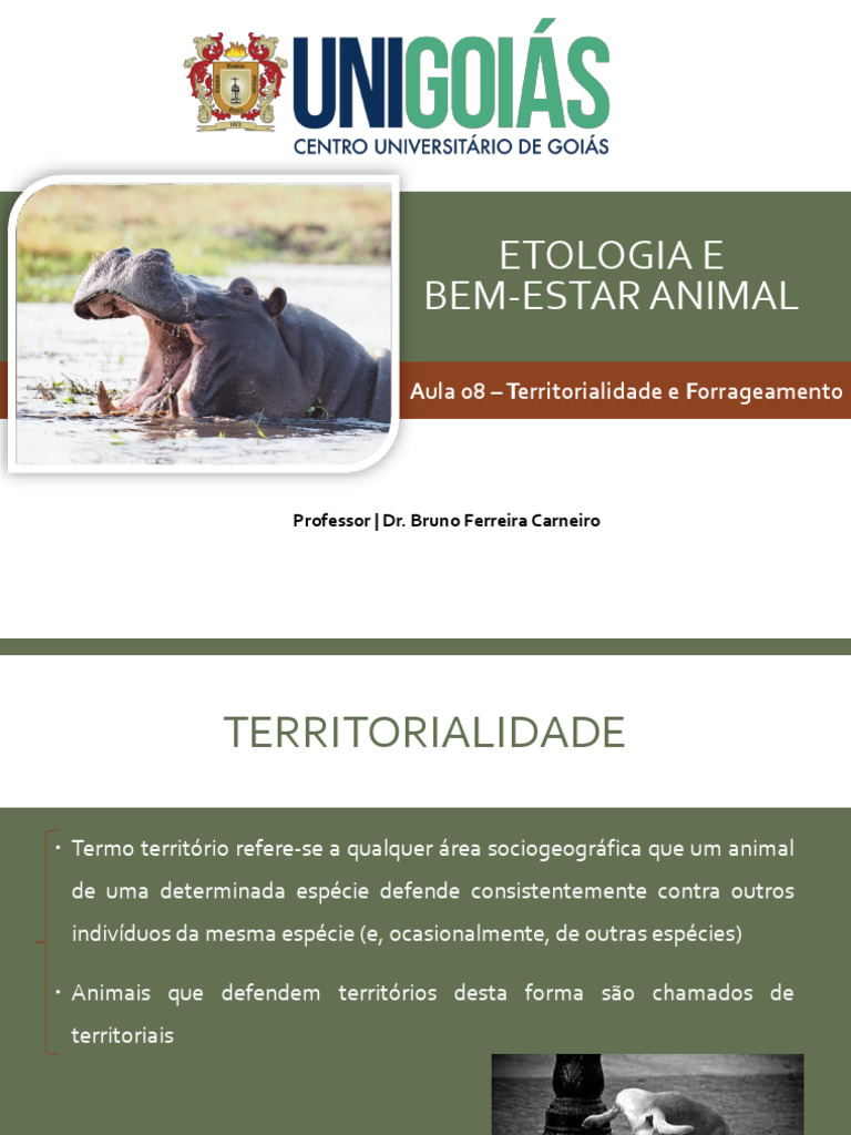 Territorialidade e Forrageamento Animal | PDF | Forrageamento | Predação