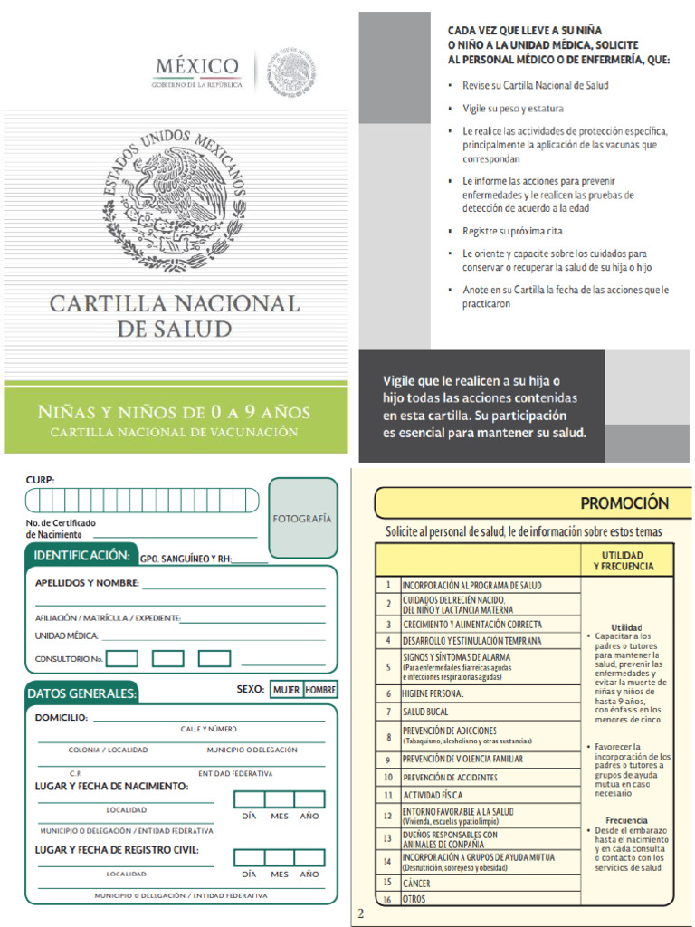 Cartilla de Vacunacion Ejemplo de Tarea | PDF