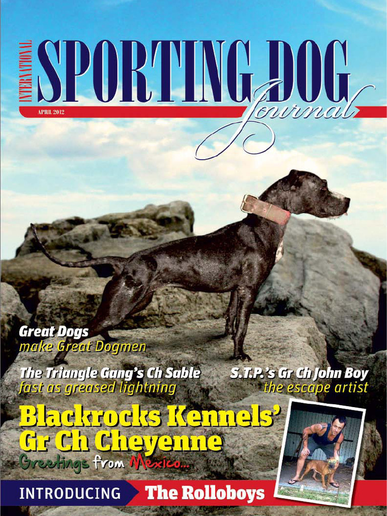 SDJ April 2012 | PDF | Nutrition | Diet & Nutrition