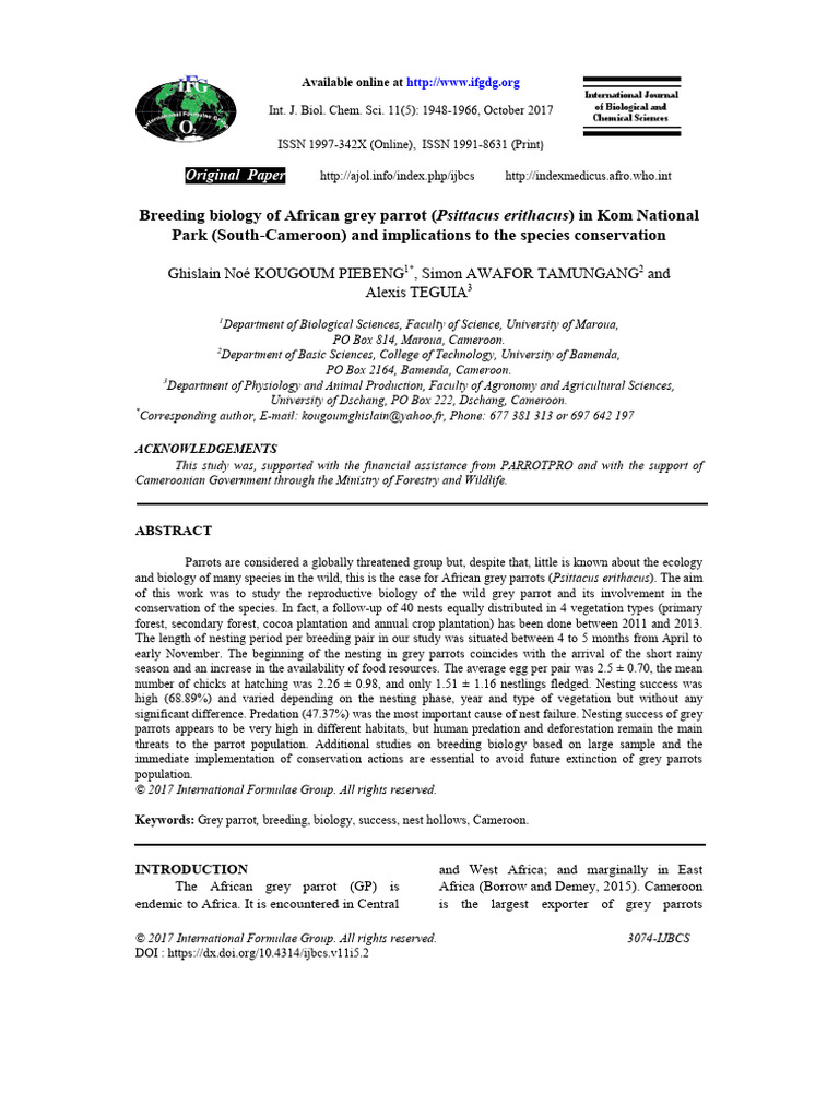 Breeding Biology of African Grey Parrot (Psittacus Erithacus) in Kom ...