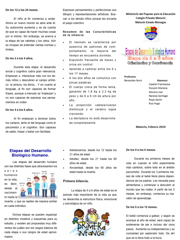 Etapas Del Desarrollo Biológico Humano | PDF | Cognición | Neurociencia