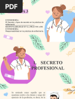 El Secreto Profesional en Enfermeria | PDF