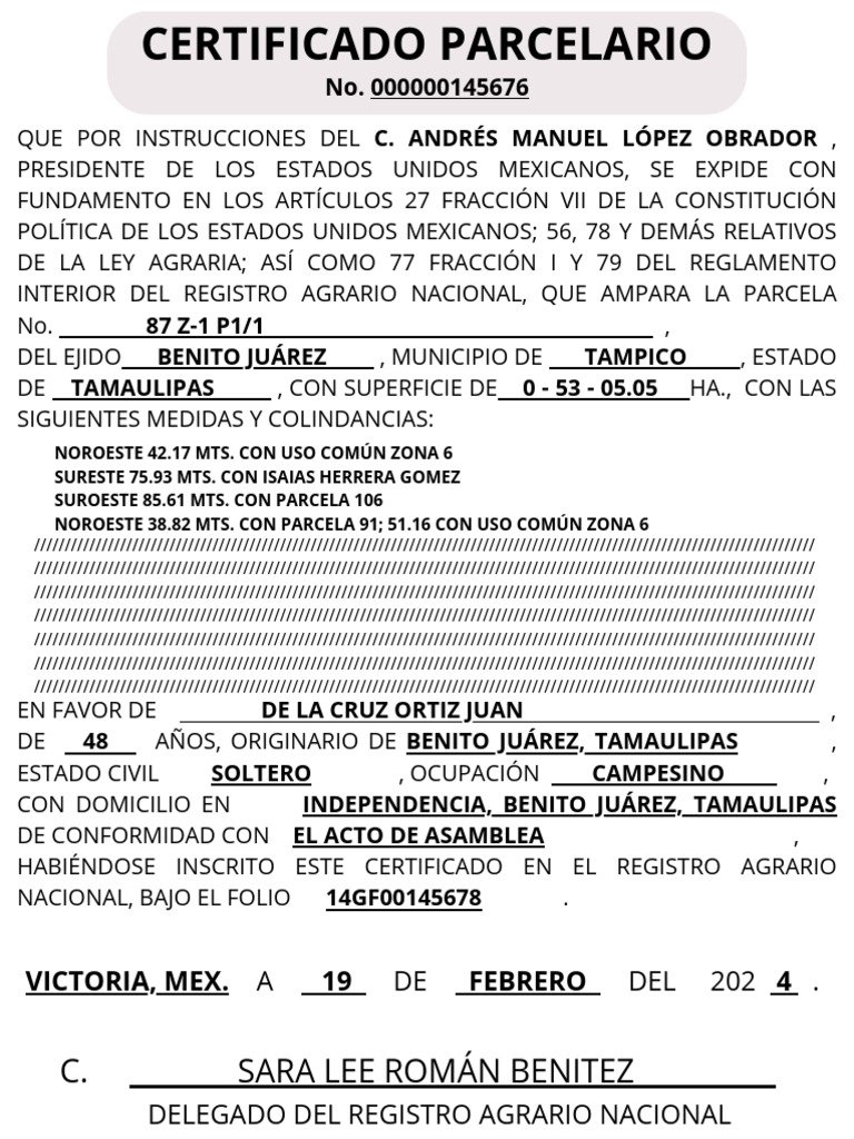 Certificados Parcelarios | Descargar gratis PDF | México | Gobierno