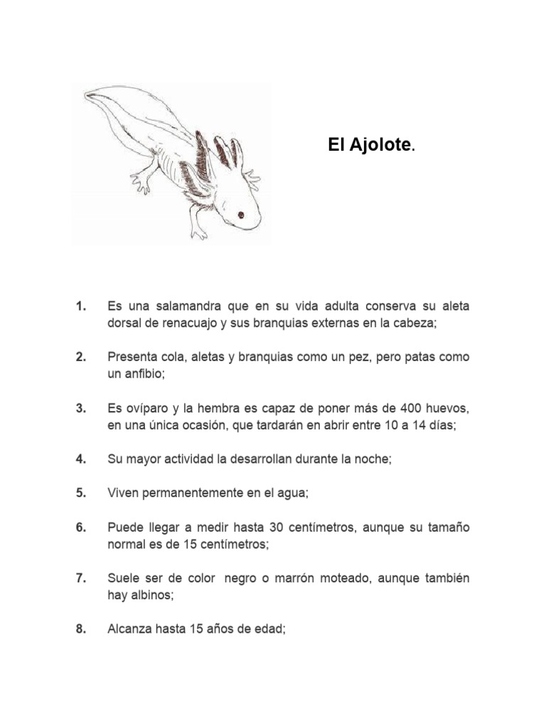 El Ajolote | PDF