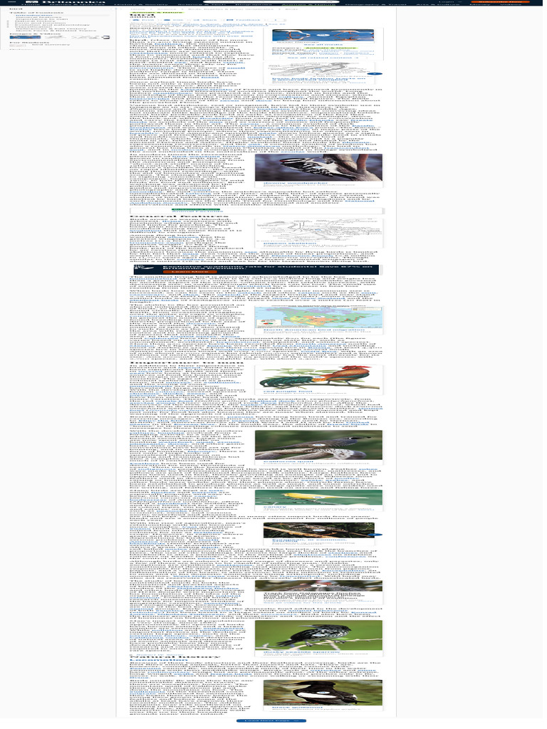 Bird - Description, Species, Classification, Types, & Facts ...