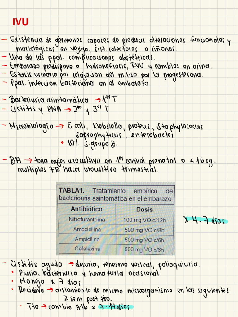 Germones Morfológicas Vejig: Ppal Complicaciones Relajación Ppal | PDF | Especialidades Medicas ...