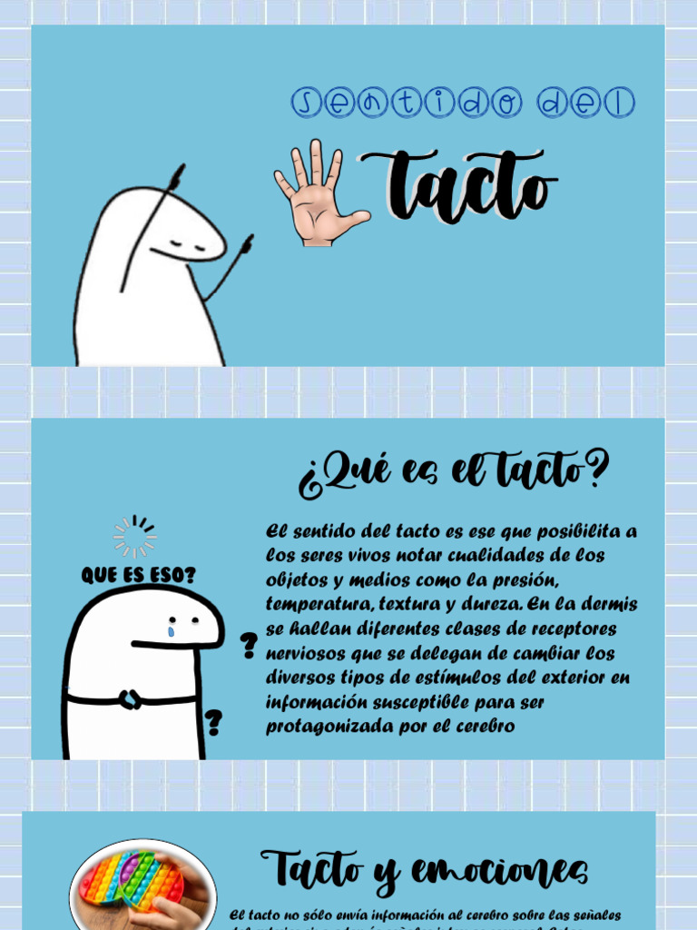 El sentido del tacto: funciones y salud | PDF | Sistema nervioso ...