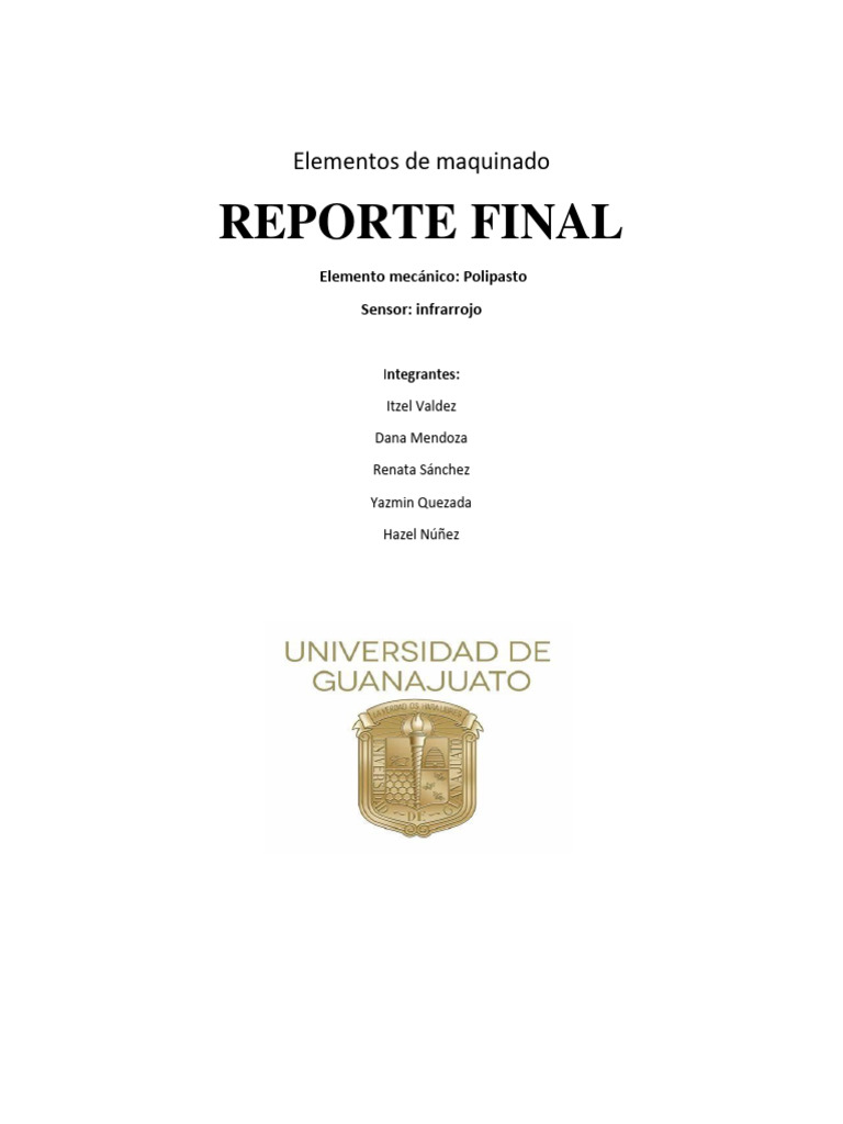 Reporte Final de Proyecto | PDF | Grúa (máquina) | Motores
