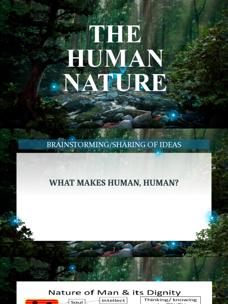 Intellect and Will 3 | PDF | Reason | Human Nature