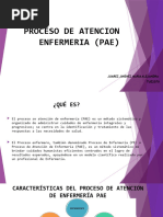 Proceso de Atención de Enfermería (PAE) Libro | PDF | Examen físico ...