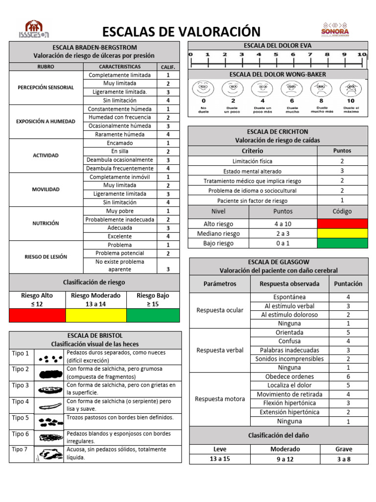 Escalas de Valoracion | PDF | Dolor | Sistema nervioso