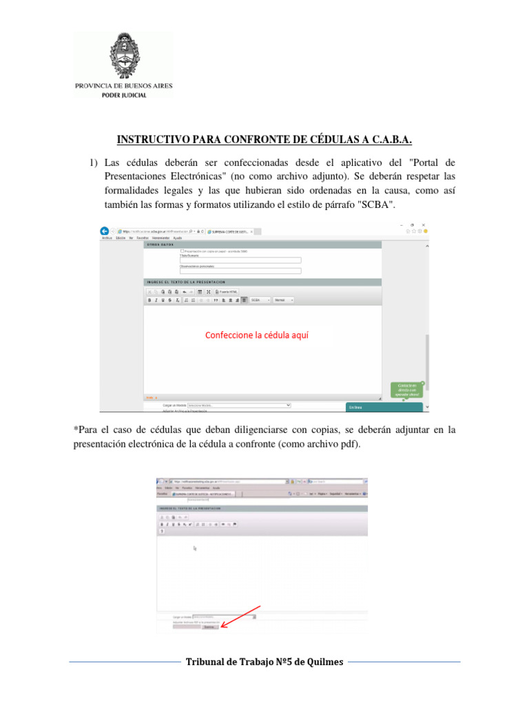 INSTRUCTIVO PARA CONFRONTE DE CÉDULAS Caba | PDF | Informática
