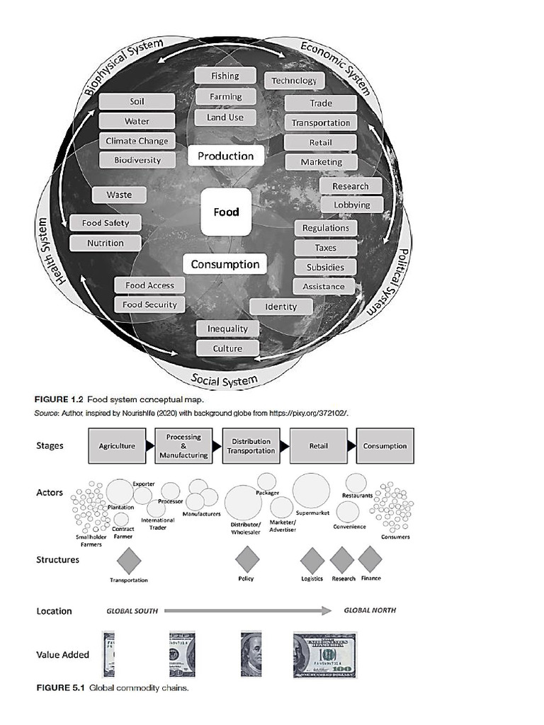 Esquemas Geography Foods | PDF
