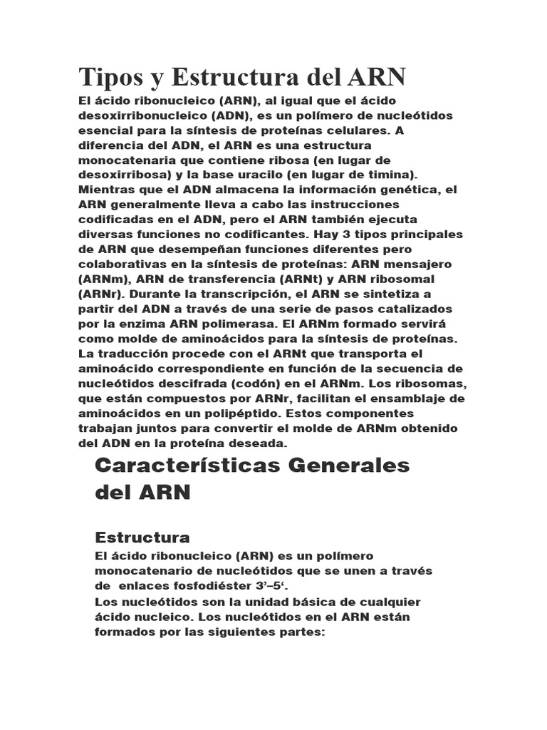 Introducción al ARN y su Función | PDF | Rna | Adn
