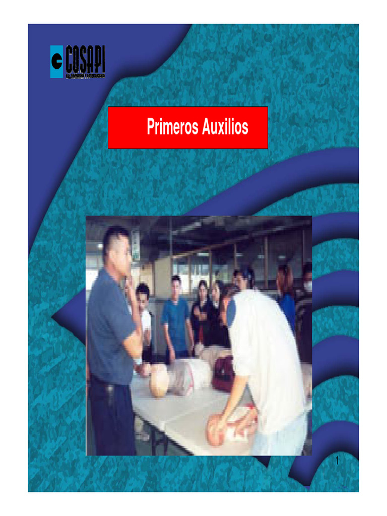 Primeros Auxilios | Descargar gratis PDF | Reanimación cardiopulmonar | Quemar