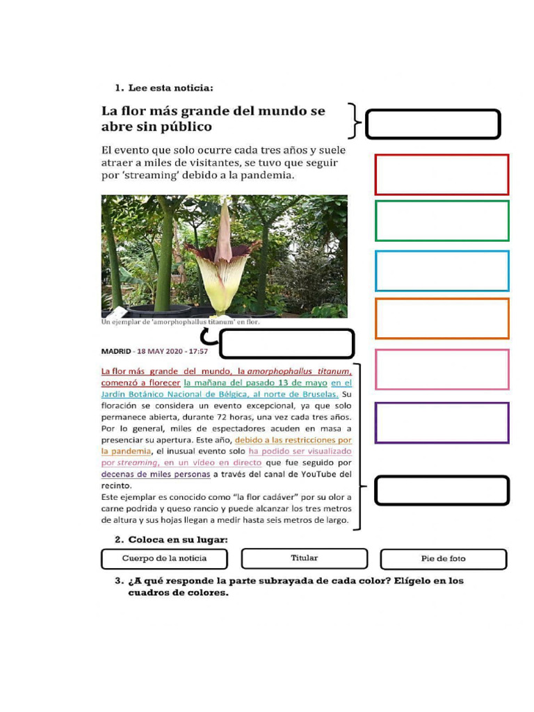 Analisis de Una Noticia 6° | PDF