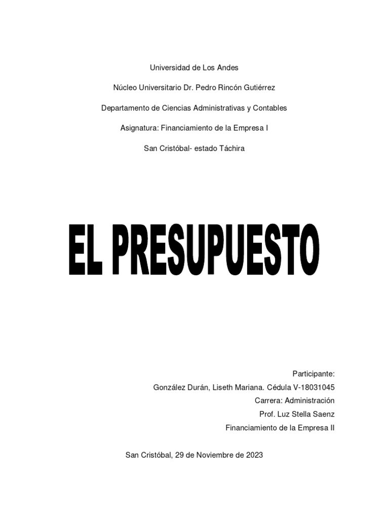TEMA PRESUPUESTO Liseth González | PDF | Presupuesto | Business