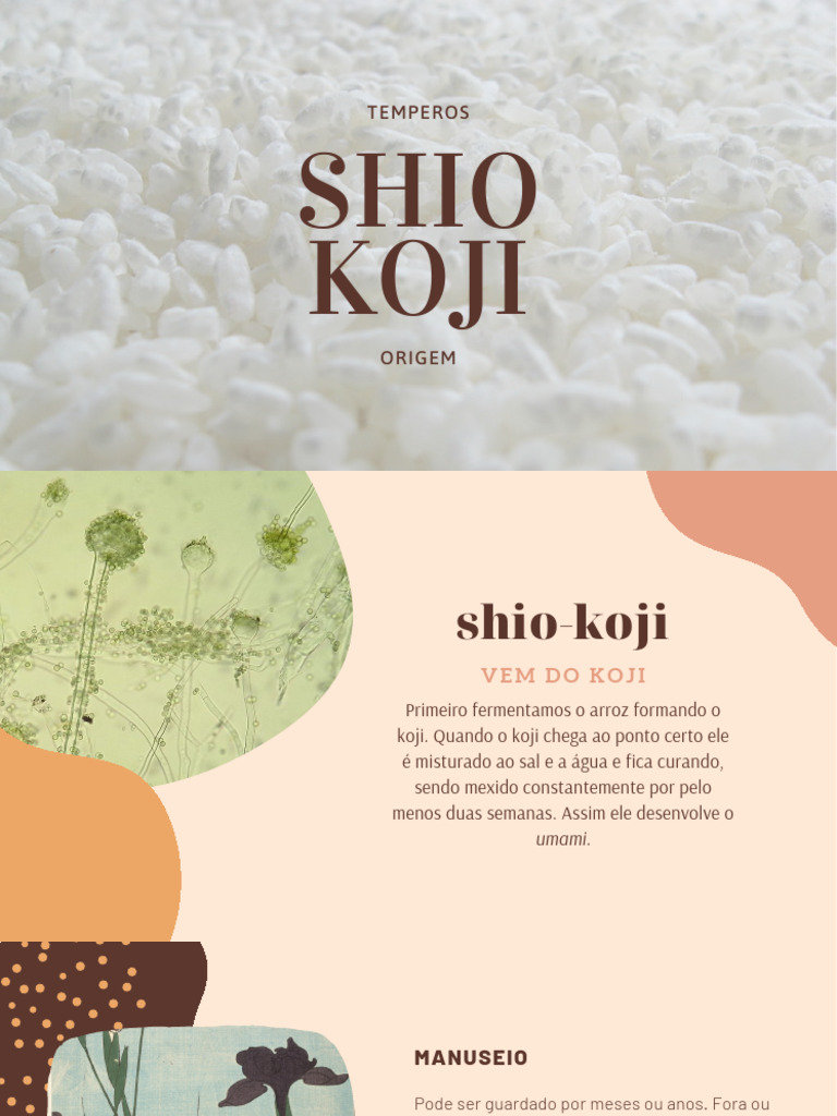 Ebook Shio Koji Temperos Milenares | PDF | Salada | Gosto