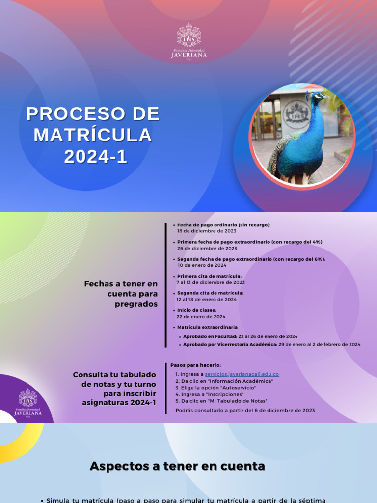 Proceso Matrícula 20241 PUJ - FINAL - V5 | PDF