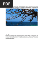 Framed Ink Vol. 2 | PDF